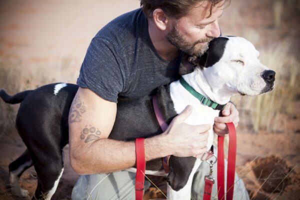 Biotin for Dogs: Key to a Shiny Coat and Healthy Skin | Vetericyn