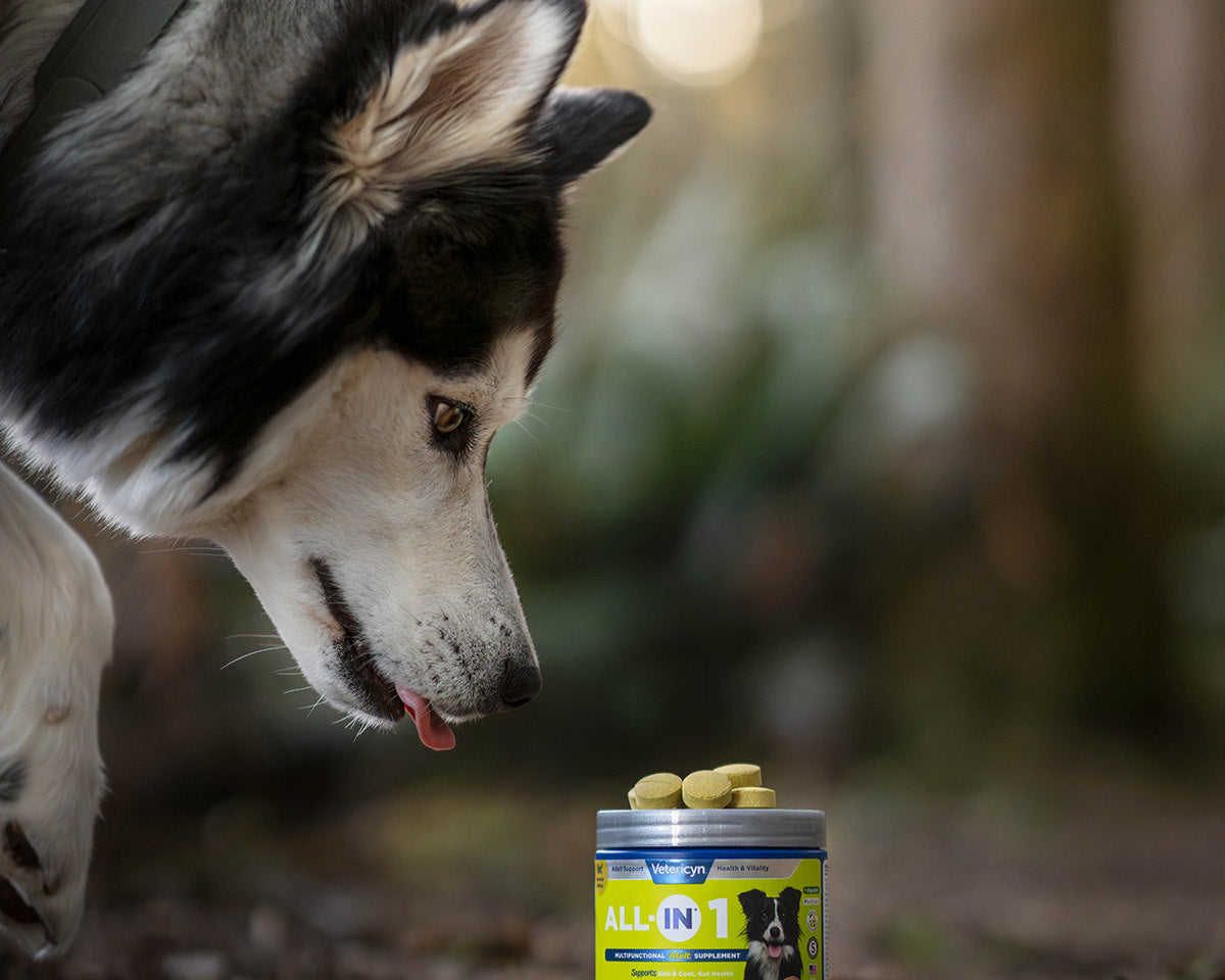 Dog Care Products - Skin, Wound, Eye, and Ear Care – Vetericyn