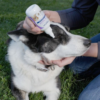 Vetericyn Plus® Antimicrobial All Animal Eye Wash – Vetericyn
