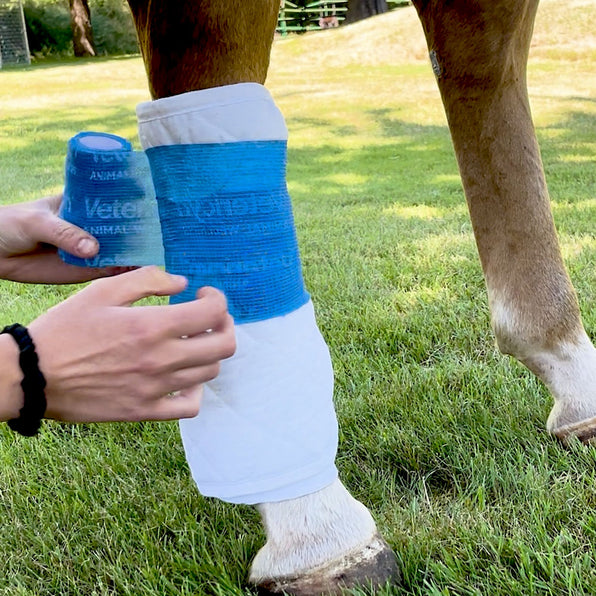 Advanced Pet Wound Care Products – Vetericyn