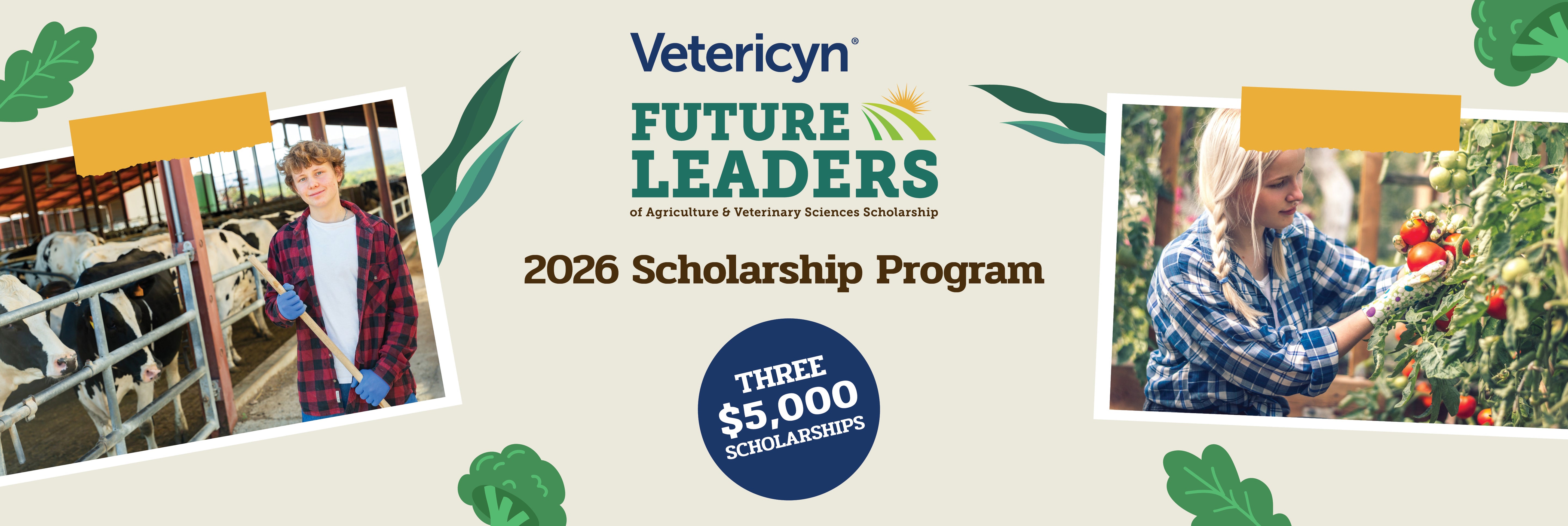 Vetericyn Scholarship Program – Vetericyn