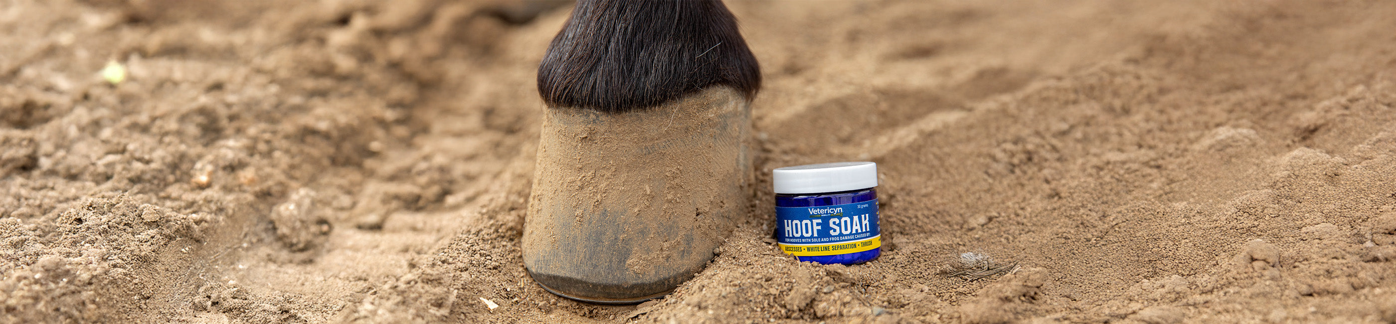 Hoof Soak Farrier Program – Vetericyn
