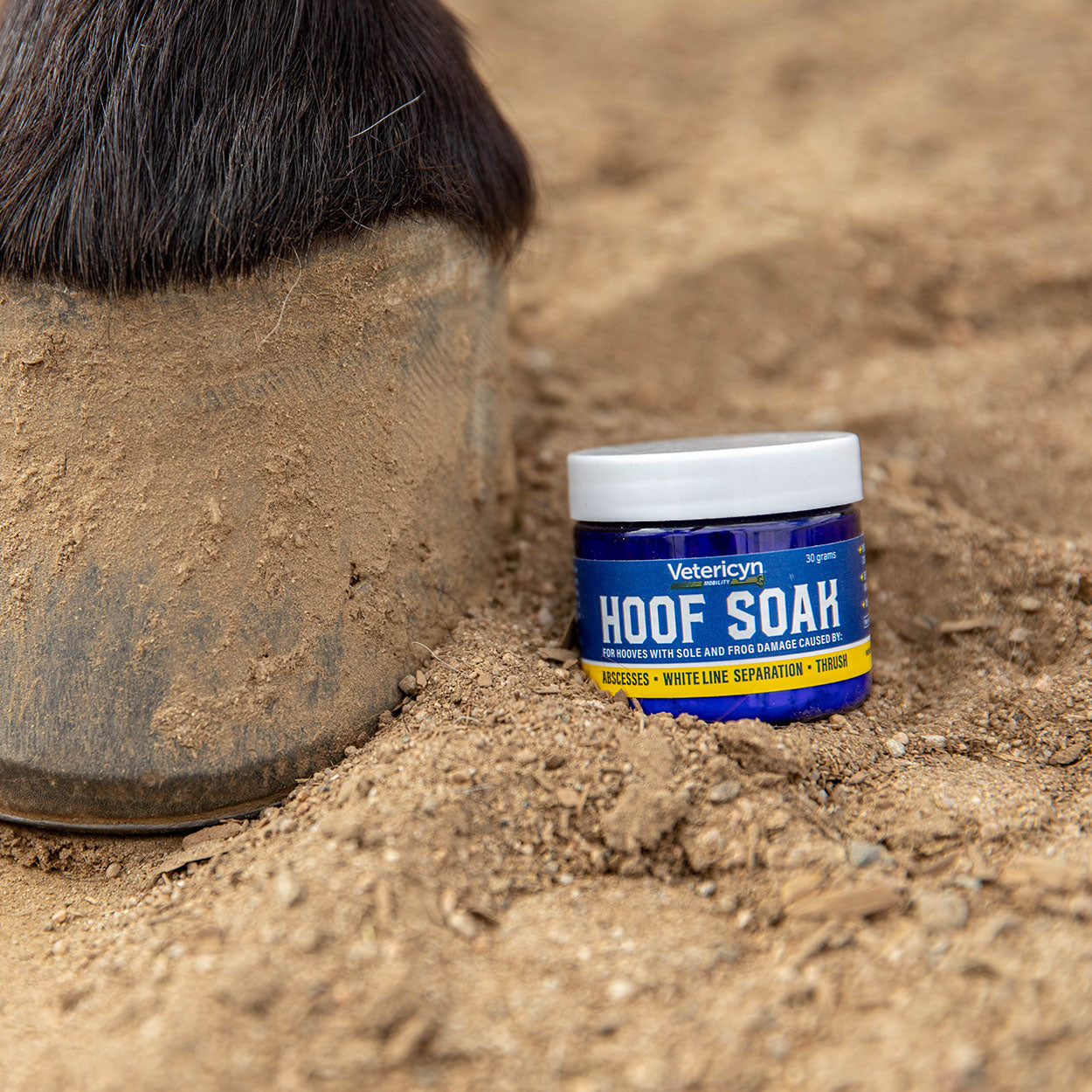 Horse Care Products: Wound, Hoof, Liniment, & Shampoo – Vetericyn