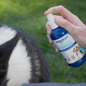 Advanced Pet Wound Care Products – Vetericyn