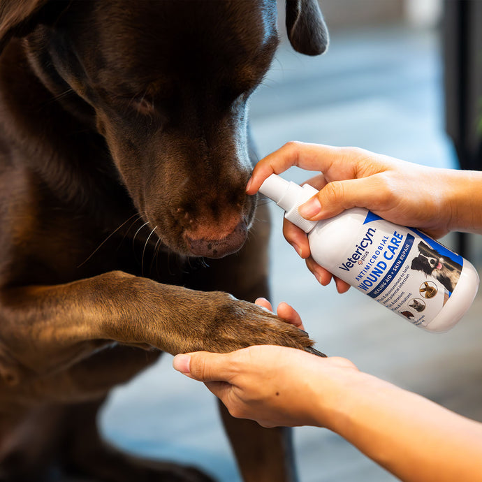 Advanced Pet Wound Care Products – Vetericyn